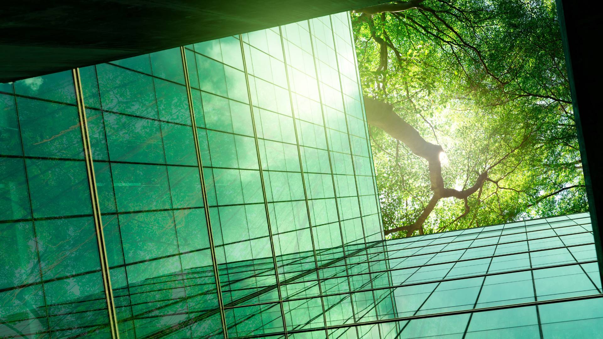 How can I make my company greener? - helec